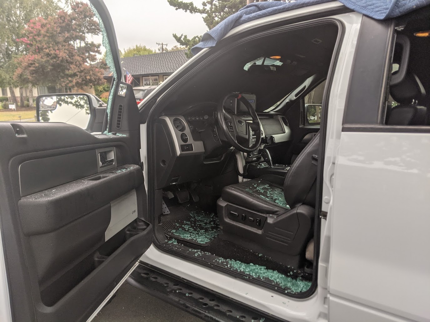 GEN 1 - Smash and Grab protection | Ford Raptor Forums